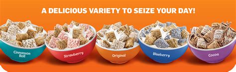 Kelloggs Frosted Mini Wheats Little Bites Breakfast Cereal