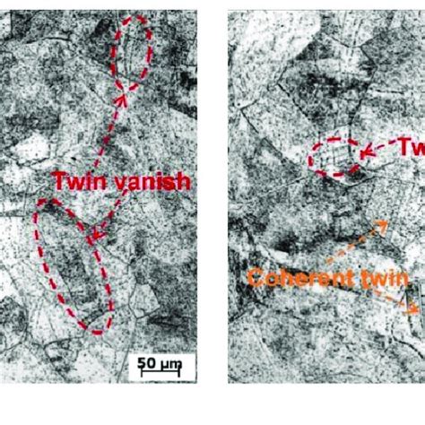 Sem Observations Of 316 Lnss During Thermal Aging A Origin B 50