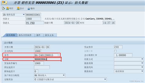 sap发票and会计凭证获取销售凭证客户参考配置 sap会计凭证和发票凭证对应 csdn博客