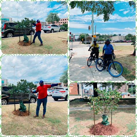 Echo Systems Landscape Llc On Linkedin A Little Work And Some