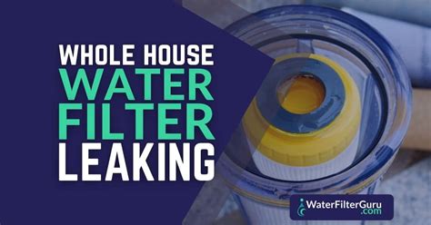 Water Filter Is Leaking At Eileen Perry Blog
