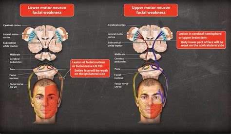 Thread By Aaronlberkowitz On Thread Reader App Thread Reader App