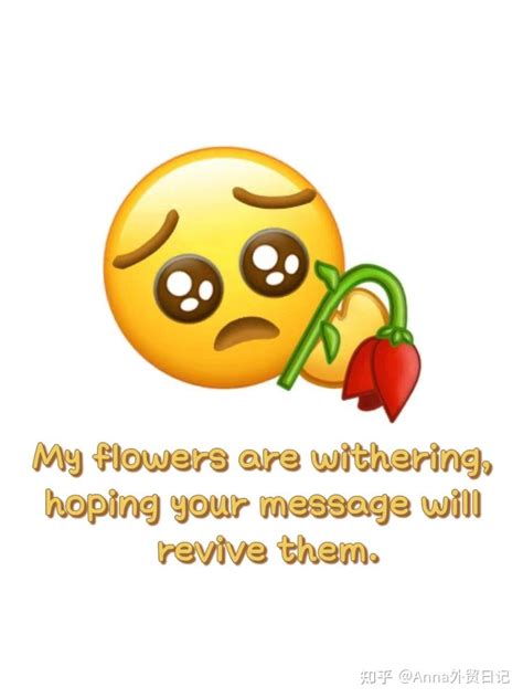 💐外贸人的专属表情包来啦！！！ 知乎
