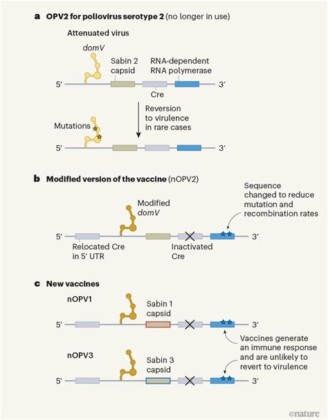 Polio Endgame Finish Is In Sight Nature