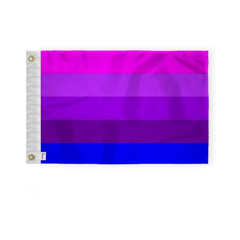 Agas Small Transexual Alt Pride Boat Nautical Flag 12x18 Inch Double