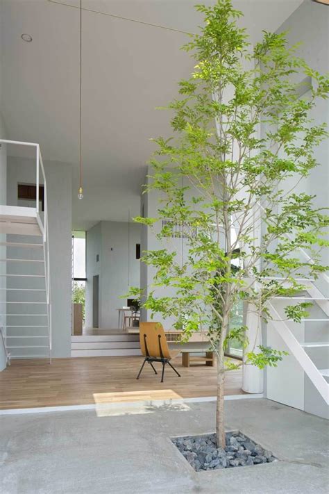 7 个 Indoor Trees 点子 室內設計 建筑 室内设计