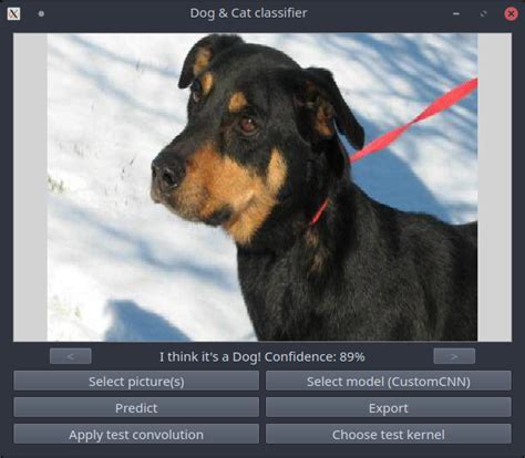 Chien Ou Chat Lia En Pratique Avec Python