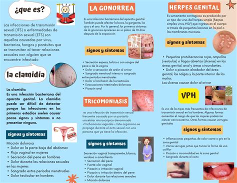 Enfermedades De Transmisión Sexual En Hombres Ets La Alerta De La
