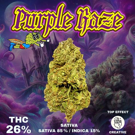 Purple Haze นำพาคุณไปยังขีดสุดของความสุขและการผ่อนคลาย