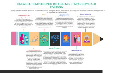 School Project Timeline Assignment Infographic In 2025 School