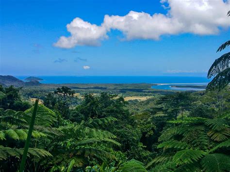 Living With Saltwater Crocodiles In Far North Queensland Australia