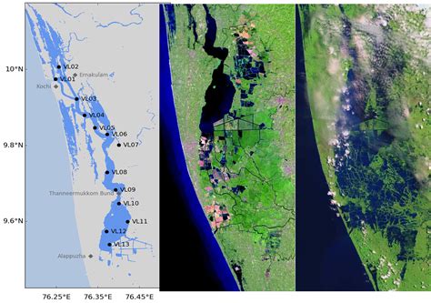 Science Future States Of The Global Coastal Ocean