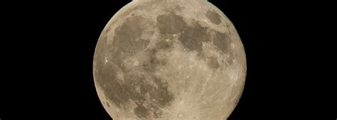 Yukijacksonpoet At Patron Hunt — Find Your Next Favorite Indie Creator