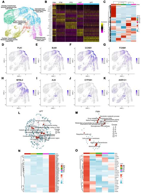 Detection Of Lineage Reprogramming Efficiency Of Tumor Cells In A 3d Printed Liver On A Chip