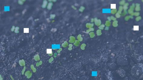 5 In The Lei Lightbulb Blog Series The Missing Ingredient For