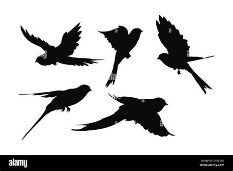 Small Flying Bird Silhouette
