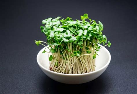 重金属デトックスに役立つ食べ物｜体にためこまない暮らし方 女性は太陽だった