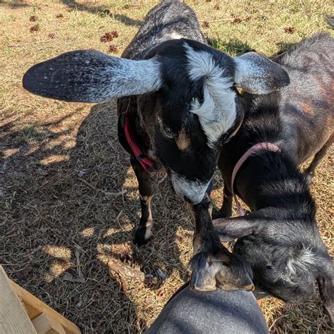 Cat Roche Catroche • Instagram Photos And Videos