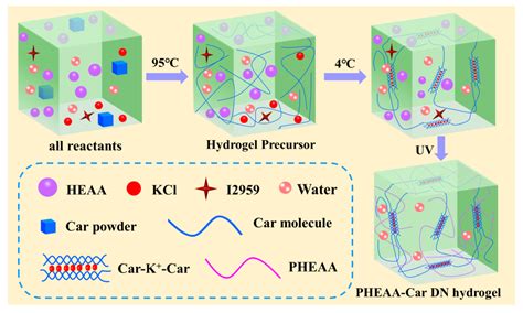 Fully Physically Crosslinked Conductive Hydrogel With Ultrastretchability Transparency And