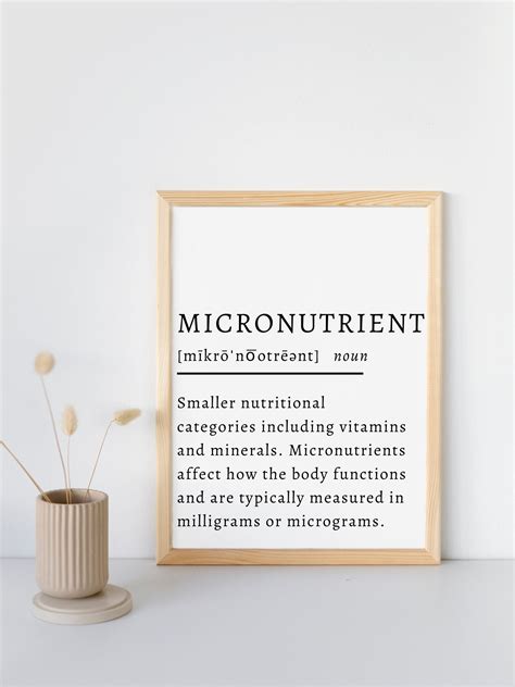 Nutrition Poster Micronutrient Definition Etsy