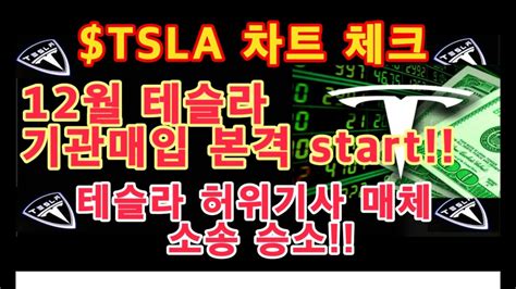 12월 테슬라 기관매입 본격 Start Tsla 차트 체크 나스닥 체크 테슬라 허위기사 매체 소송 승소