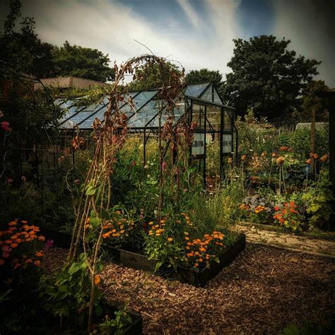 How To Make A Garden Arch With Tree Branches Oh Homely Girl