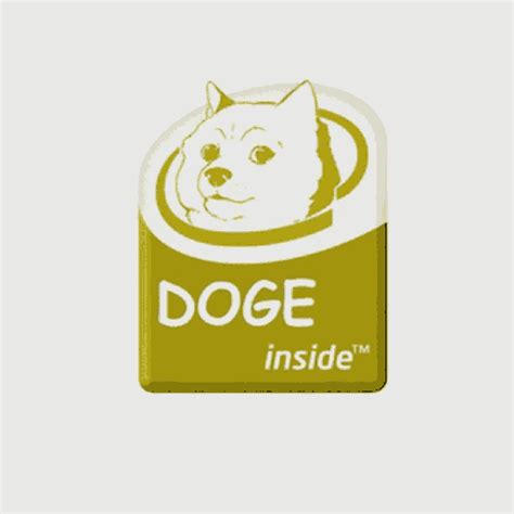 Doge Inside Album On Imgur