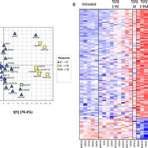 Separation Of Cell Lines Based On Emt Capacity Using The Tgfβ Emt