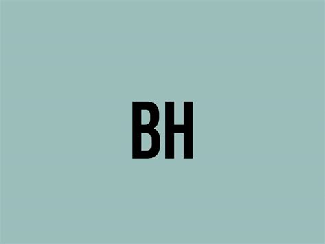 What Does Bh Mean Meaning Uses And More Fluentslang