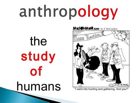 In The Word Chronology “ology” Is Which Of The Following 1