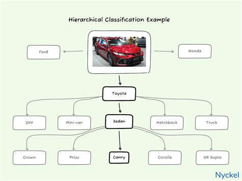 What Is Image Classification The Definitive 2024 Guide Nyckel