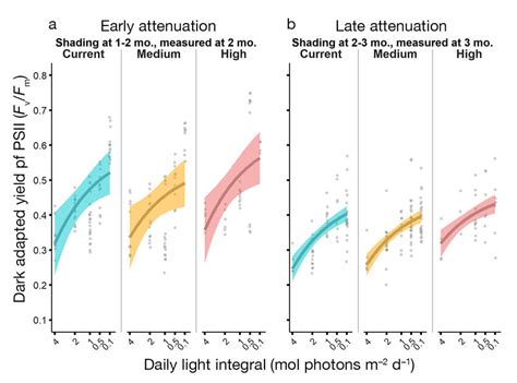 Maximum Quantum Yield Of Photosystem Ii Psii F V F M Of