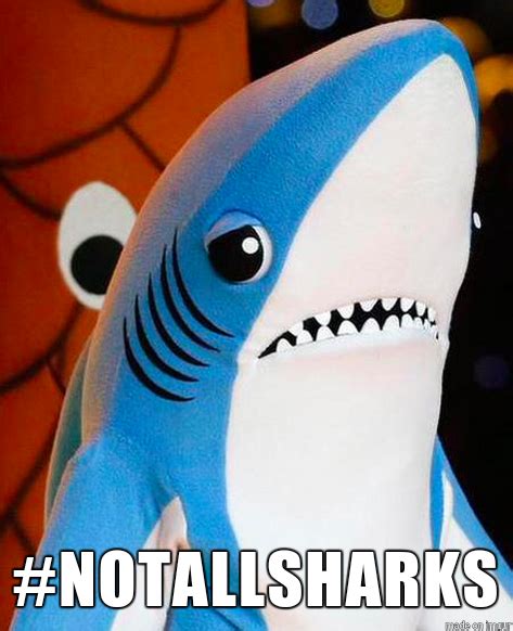 Most Shark Attacks Stop After The First Bite Please Stop Demonizing