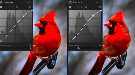 Adobe Rolls Out Firefly Powered Generative Recolor In Illustrator