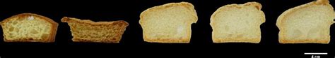 Crumb Structure Of Wheat Bread Control Sample And Gluten Free Breads Download Scientific