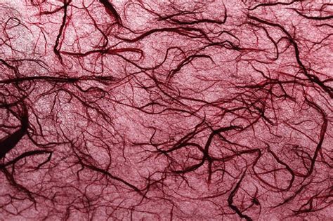 Premium Photo Textuer