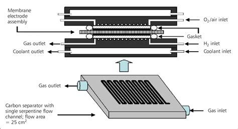 Schematic Image Of The Single Fuel Cell With A Serpentine Gas Flow
