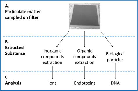 Filer Sample Analysisflow Chart Filter After Air Sampling A