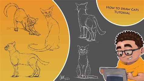How To Draw Cats Tutorial Using Simple Shapes YouTube