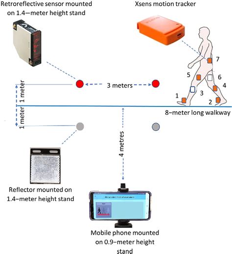 Figure 2 From Validity And Reliability Of Gait Speed And Knee Flexion