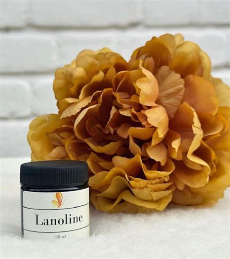 Pure Lanoline Mh Original