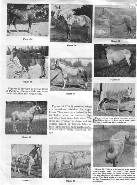 Historical Publications