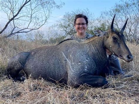 Nilgai Hunt For 1 Hunter In Rio Grande Valley