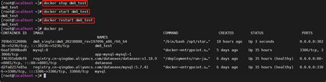 Docker 安装 达梦数据库 龙凌云端 博客园