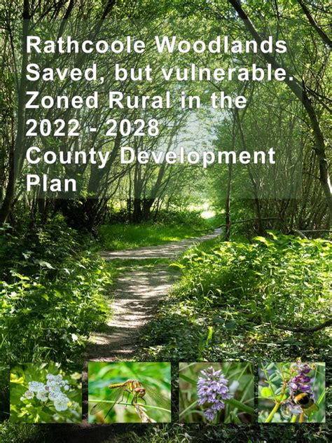 Sdcc County Development Plan Cllr Francis Timmons Independent Voice