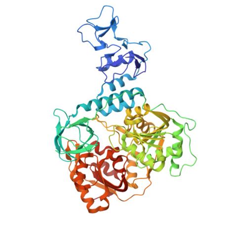 Rcsb Pdb 9i53 Crystal Structure Of The Sars Cov 2 Helicase Nsp13 In