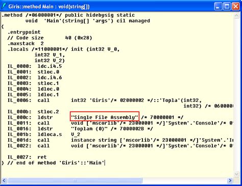 Burak Selim Şenyurt Single File Assembly Ve Multiple File Assembly