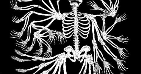 Dead Cross Dead Cross