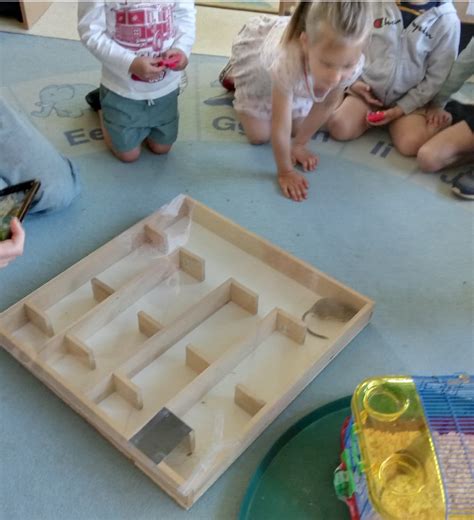 Exploring Science Together Preschoolers And 9th Graders Collaborate On