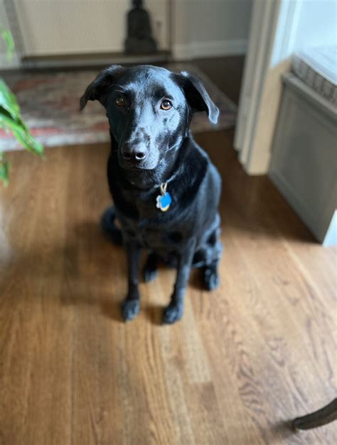 Amanda Aronson On Linkedin Are You A Nonprofit Executive Trying To